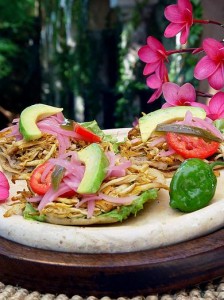 Salbutes